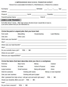 High School Career Survey Examples - Printable Samples