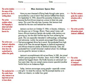 12 Free Sample Biography Report Templates - Printable Samples