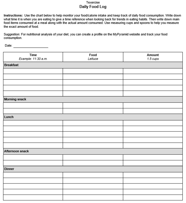 10 Free Sample Daily Log Templates - Printable Samples