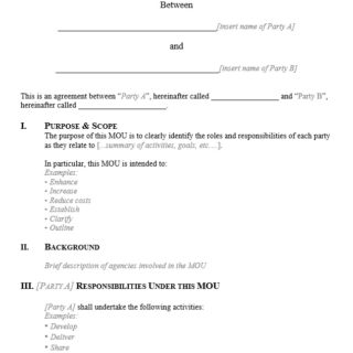 13 Free Sample Private Label Agreement Templates - Printable Samples