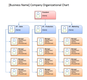 40 Free Organogram Templates - Printable Samples