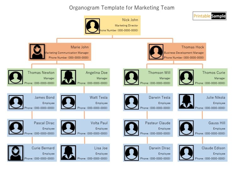 11 Free Organogram Templates - Printable Samples